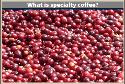 What is Specialty Coffee? - Procaffeination